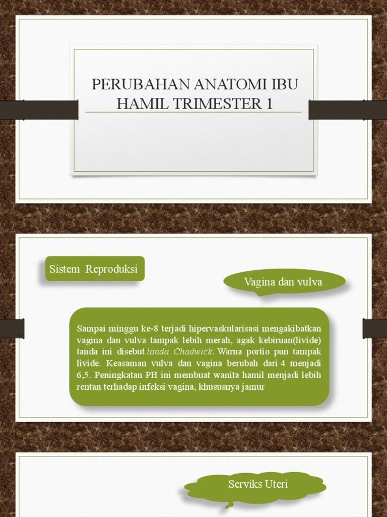 Perubahan Portio Livide pada Kehamilan | PDF | Kesehatan Holistik