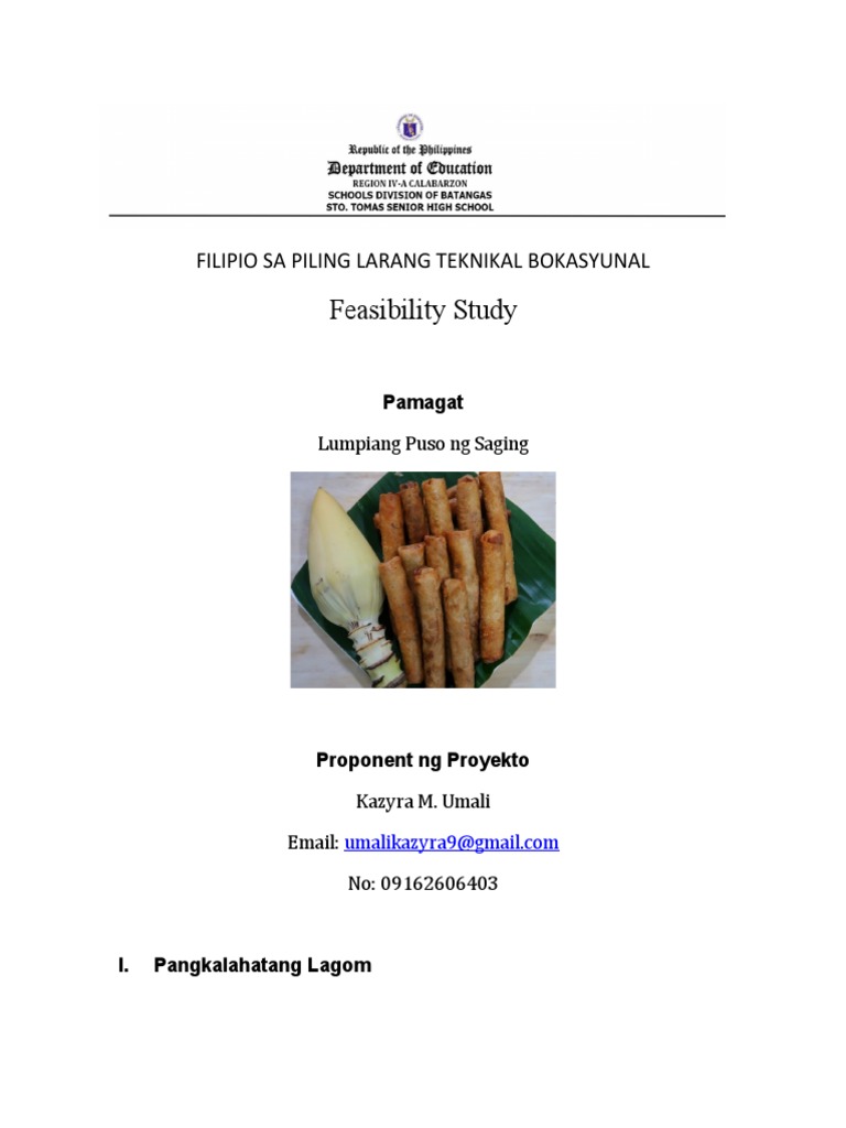 Feasibility Study | PDF