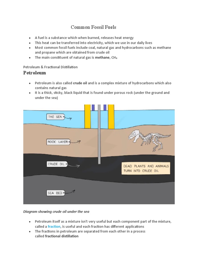 Petrochemicals and Polymers | PDF | Petroleum | Hydrocarbons