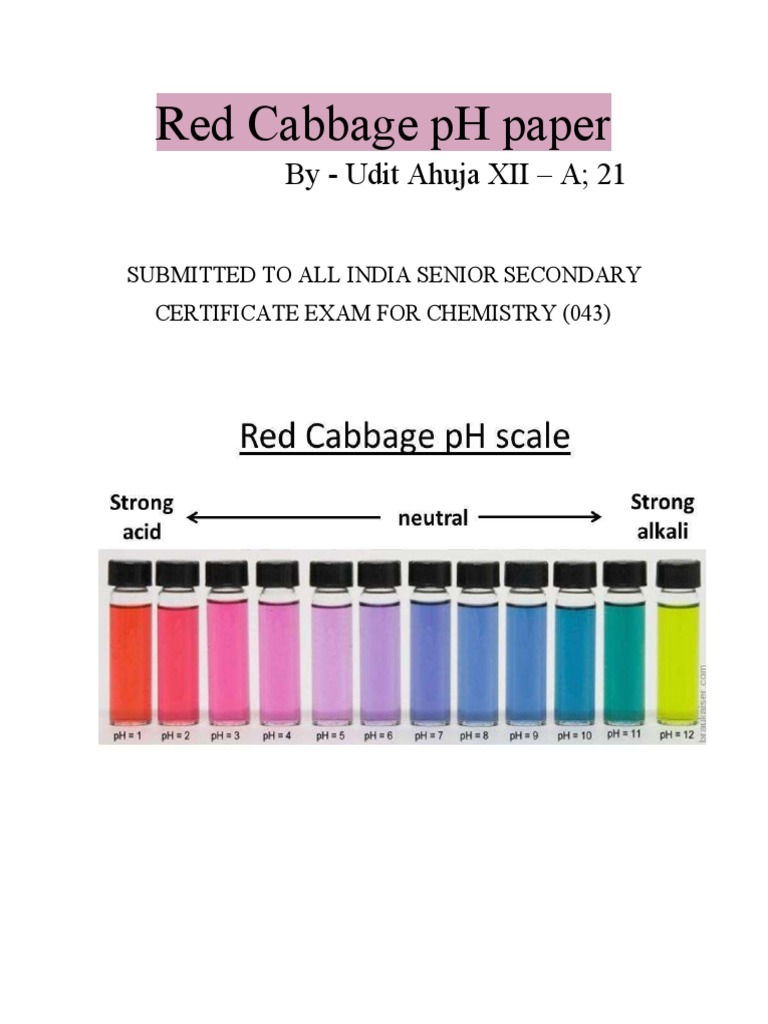 Uditfinal2 Red Cabbage | PDF | Ph | Chemistry
