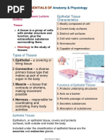Cell Organelles - Structure and Function | PDF | Cell (Biology ...
