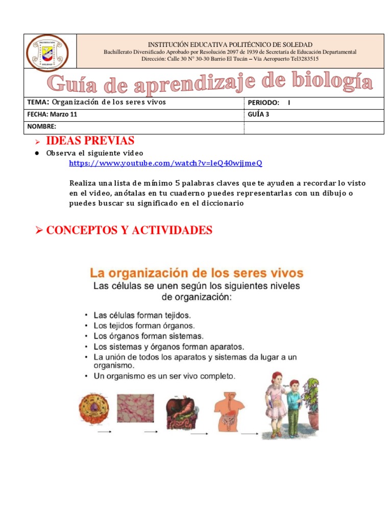 Organización de los Seres Vivos: Guía Educativa | PDF