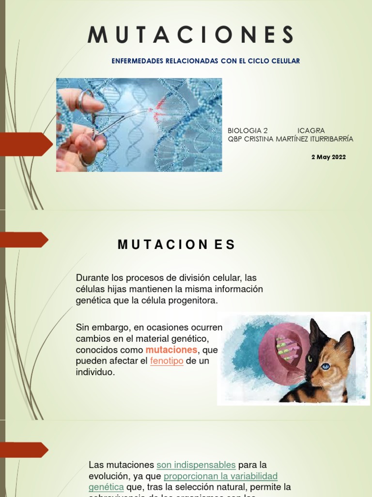Mutaciones: Enfermedades Relacionadas Con El Ciclo Celular | PDF ...