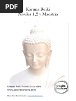 Manual de Maestra Karuna Ki | PDF | Reiki | Meditación