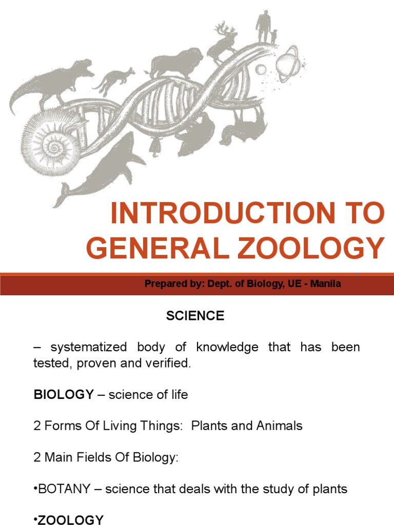 Introduction To Zoology Lecture 2020 | PDF | Life | Hypothesis