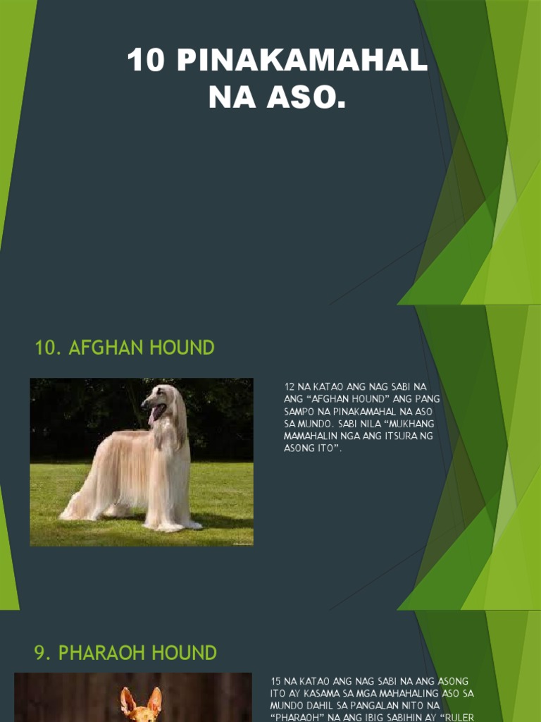 10 Pinakamahal Na Aso | PDF