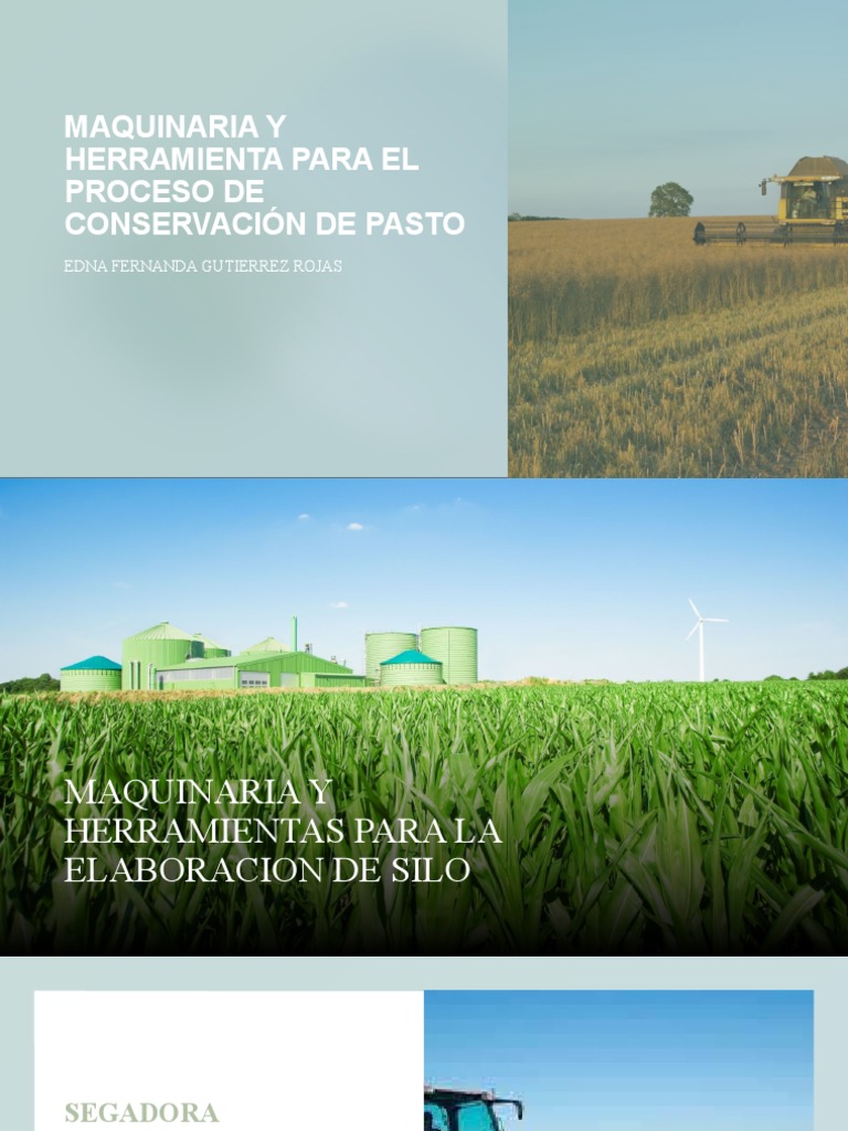 Silo y Heno | PDF | Heno | Agricultura