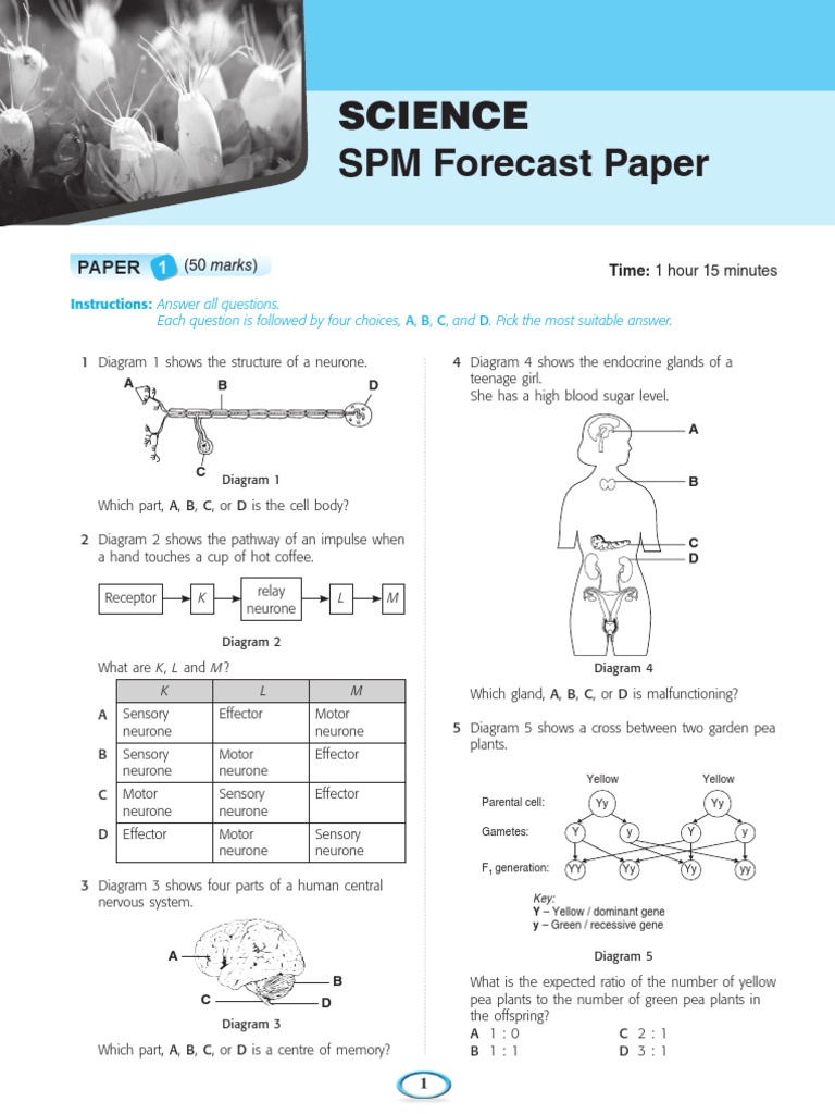 Science SPM Forecast Papers | PDF | Neuron | Experiment
