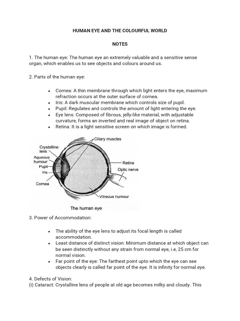 Human Eye and The Colourful World Notes | PDF