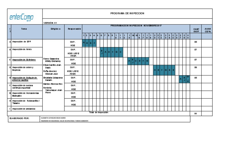 Programa de Inspeccion | PDF