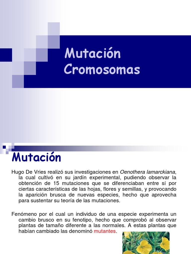 Mutaciones Genéticas y Cromosómicas | PDF | Mutación | Cromosoma