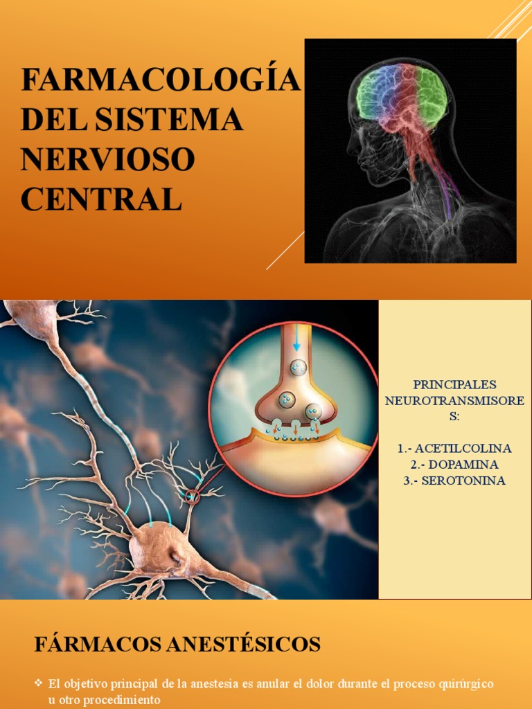 Farmacologã - A Del Sistema Nervioso Central | PDF