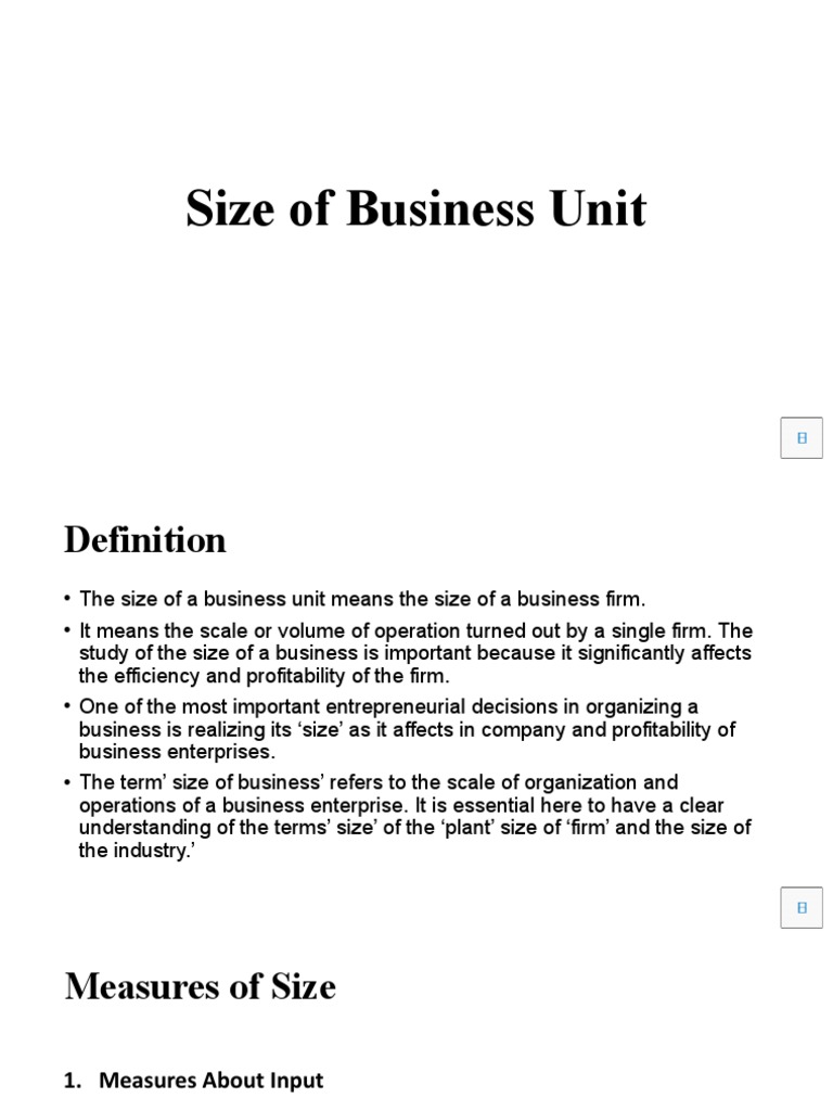 Size of Business Unit | PDF | Output (Economics) | Labour Economics