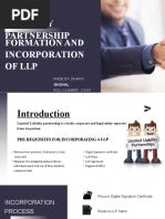 Instruction Kit - Form FiLLiP | PDF | Limited Liability Partnership | Law