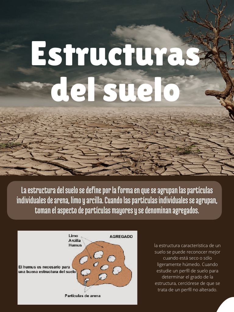 Estructura Del Suelo | PDF