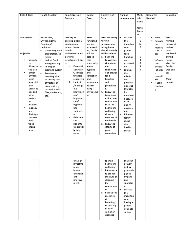 Family Nursing Care Plan | PDF | Sanitation | Nursing