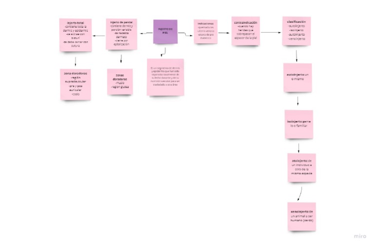 Mapa Conceptual Injerto | PDF