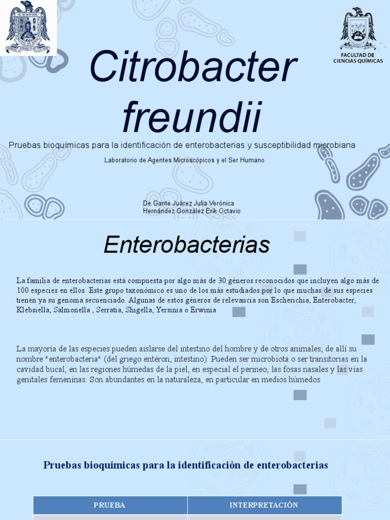 Identificación y Tratamiento de Citrobacter freundii | PDF | Microorganismo | Especialidades Medicas