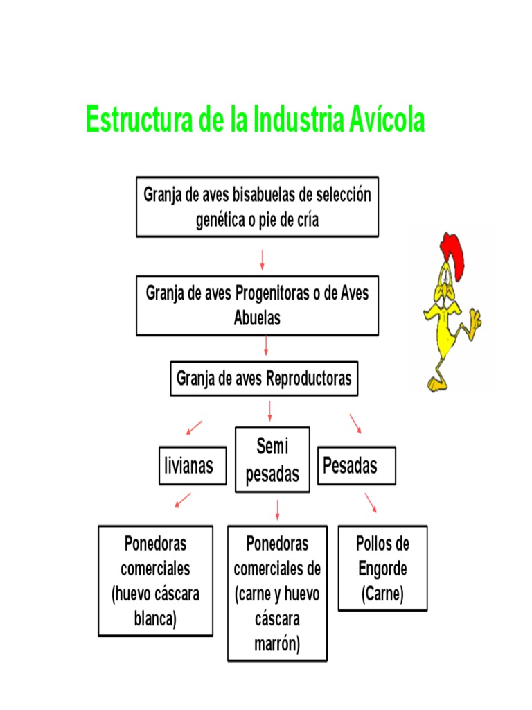 Cuadro Industria Avicola | PDF