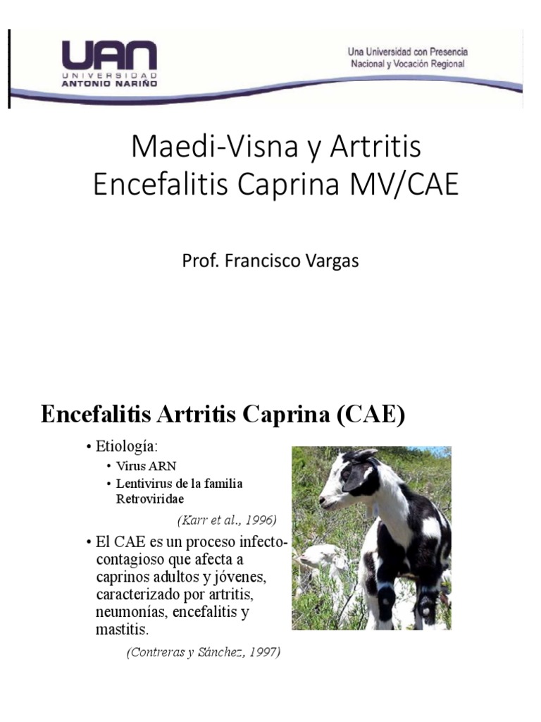Artritis y Encefalitis Caprina: CAE | PDF | Retrovirus | Virus