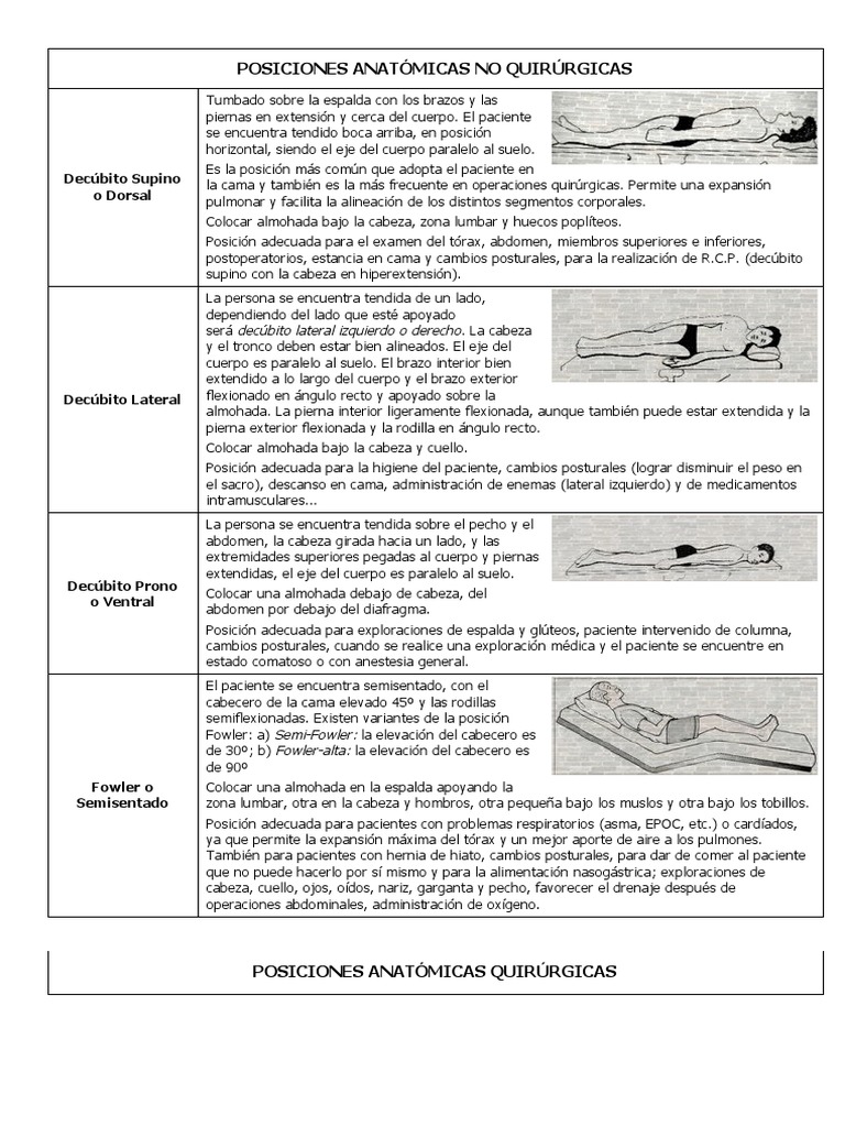 Posiciones Anatómicas No Quirúrgicas | PDF | Términos anatómicos de ...