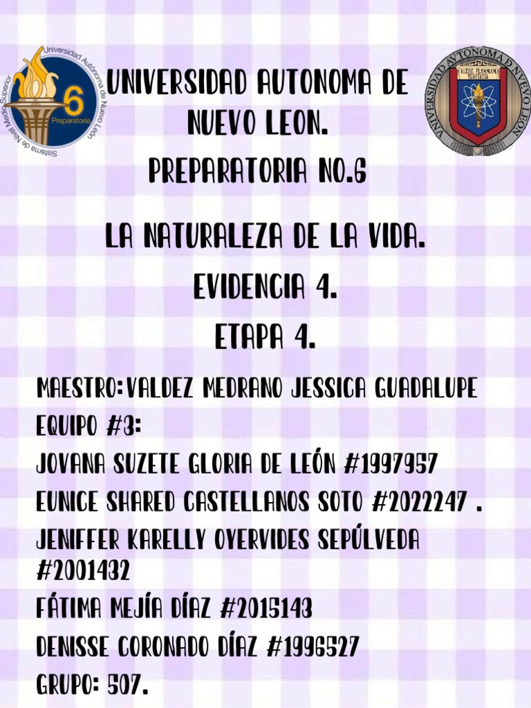 Equipo3 Ev4 LNV | PDF | Deforestación | Los bosques