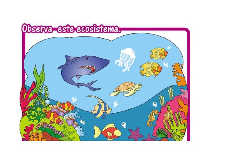 Ecosistema Acuatico | PDF