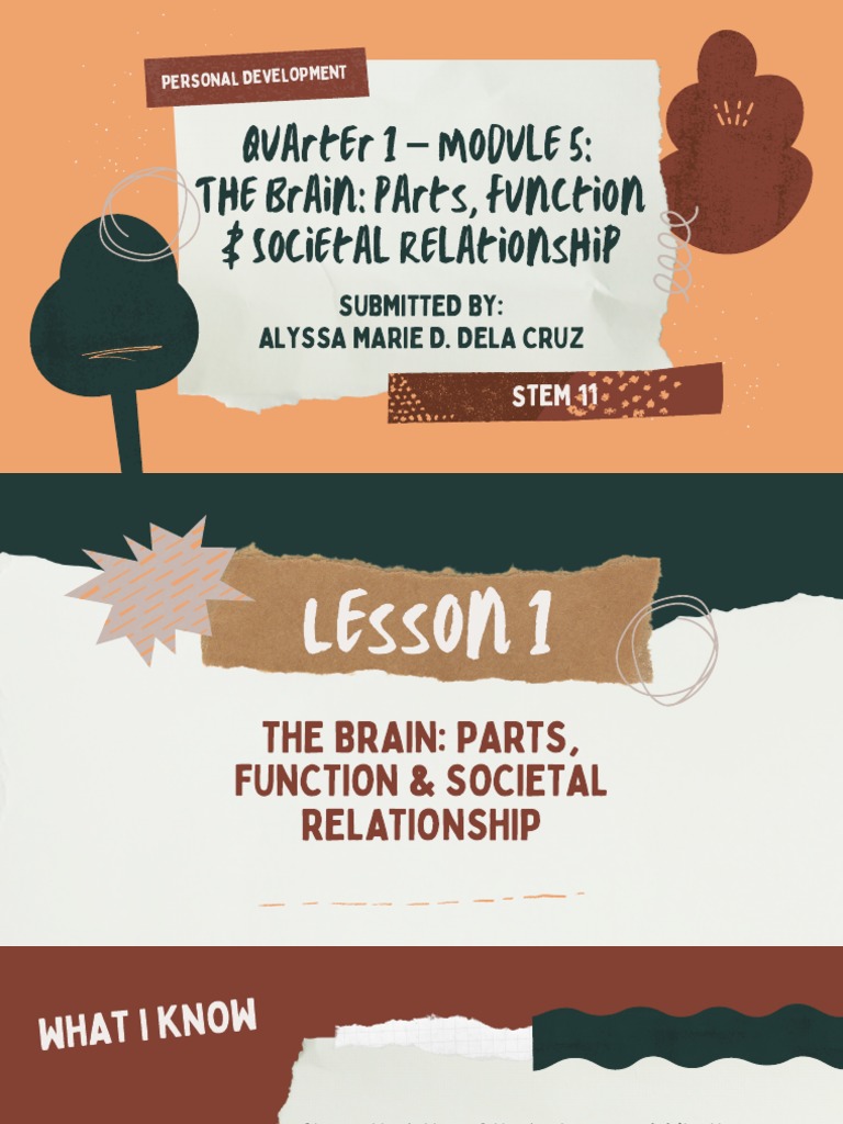 Quarter1 - Module5: The Brain:Parts, Function & Societal Relationship ...