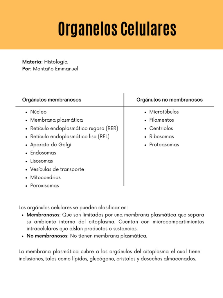 Organelos Celulares | PDF | Citoplasma | Nucleo celular