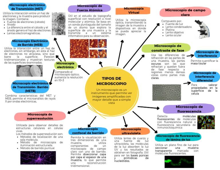 Tipos de Microscopio | PDF | Microscopio | Electrón