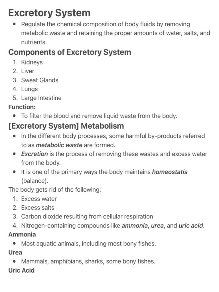 Excretory-System | PDF