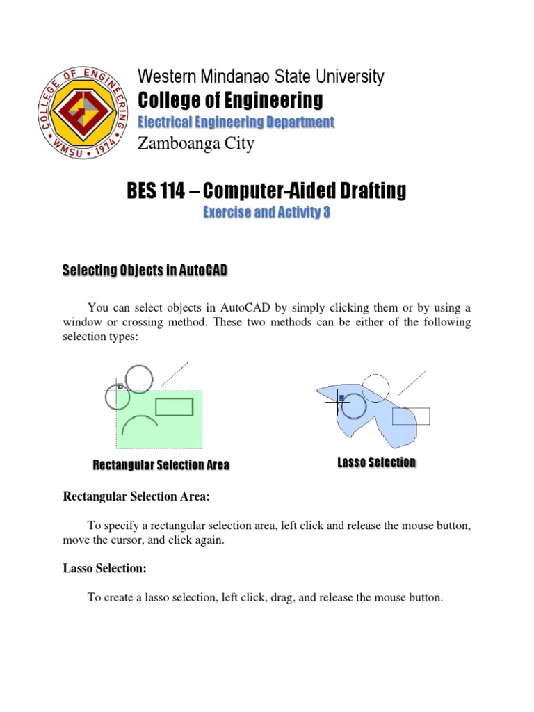 BES 114 Exercise - Activity 3 | PDF | Button (Computing) | Software