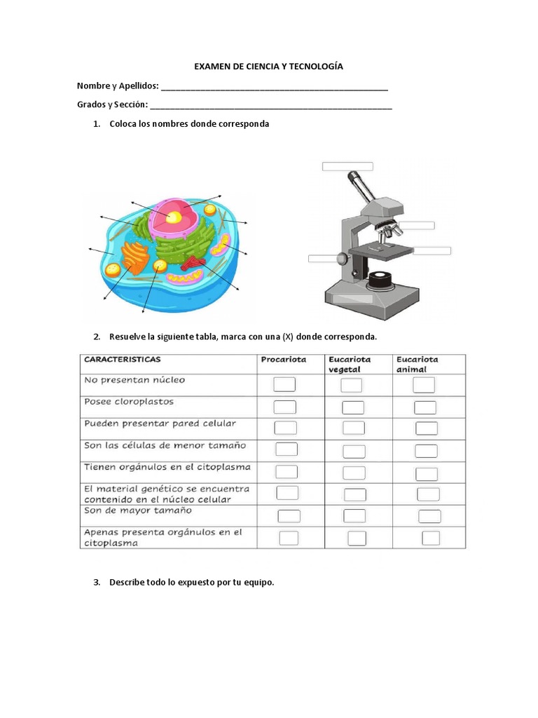Examen de Ciencia y Tecnología Primaria | PDF | Métodos y materiales de ...