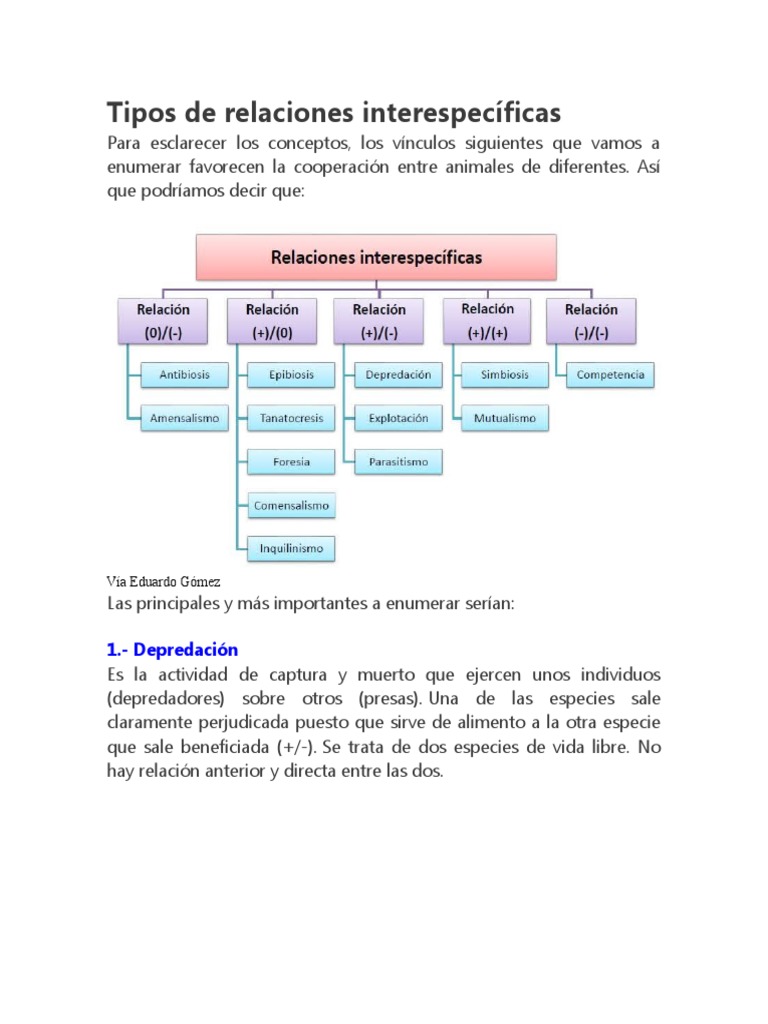 Tipos de Relaciones Interespecíficas | PDF | Red alimentaria | Ecología