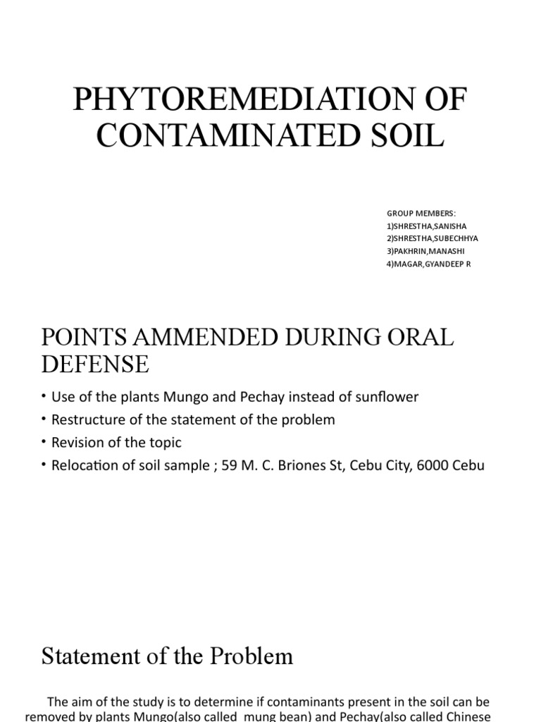 Phytoremediation of Contaminated Soil | PDF | Soil | Mercury (Element)