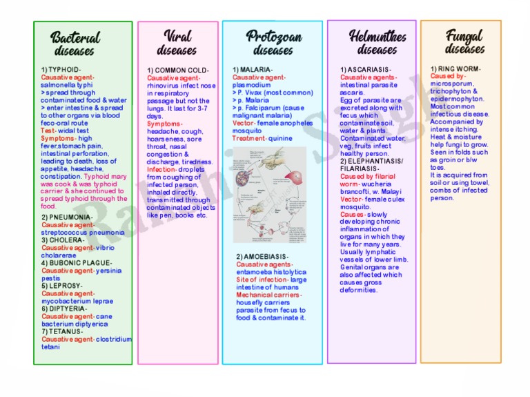 Common Bacterial Diseases and Agents | PDF | Infection | Malaria