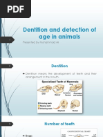 Using - Dentition To Age Cattle | PDF | Tooth | Dentistry