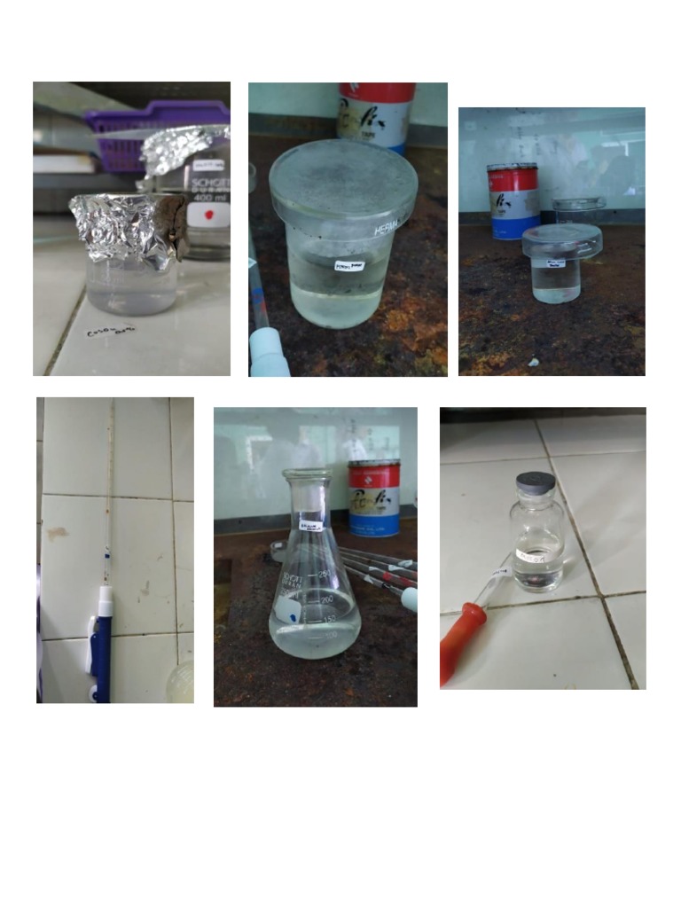 Biokim Protein Prin | PDF