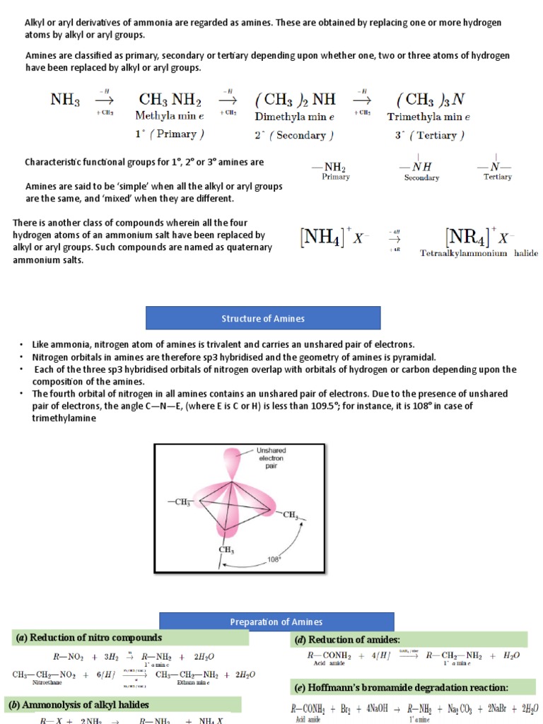 Amines Pdf Amine Physical Chemistry