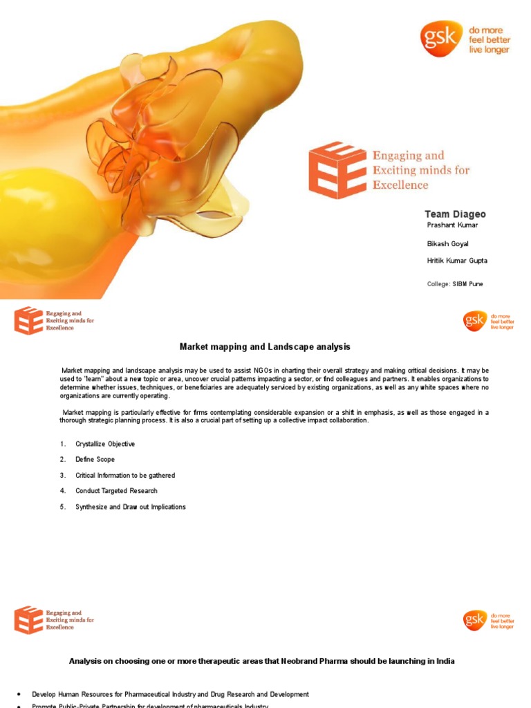 Team Diageo - SIBM Pune | PDF | Sales | Marketing