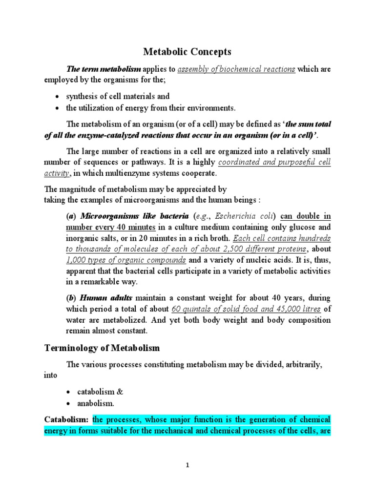 Metabolic Concepts Lecture 1 3 Pdf Metabolism Metabolic Pathway