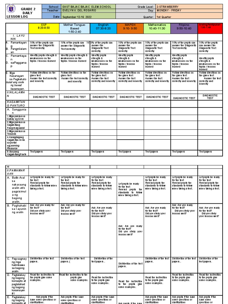 Daily Lesson Log Diagnostic Test | PDF | Learning | Cognition