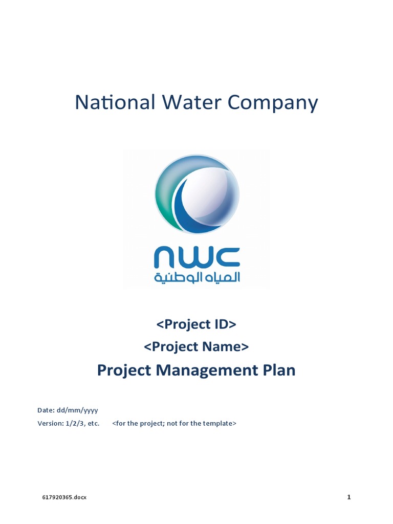 National Water Company Project Plan | PDF | Project Management | Business