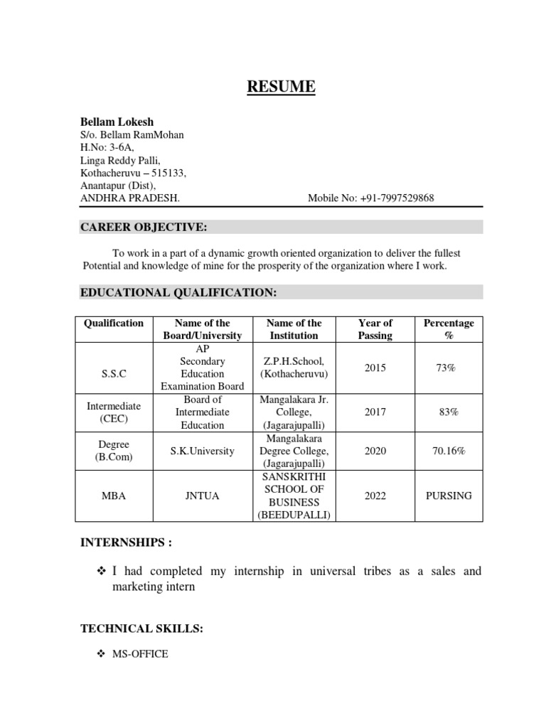 Lokesh Resume MBA | PDF | Cognition