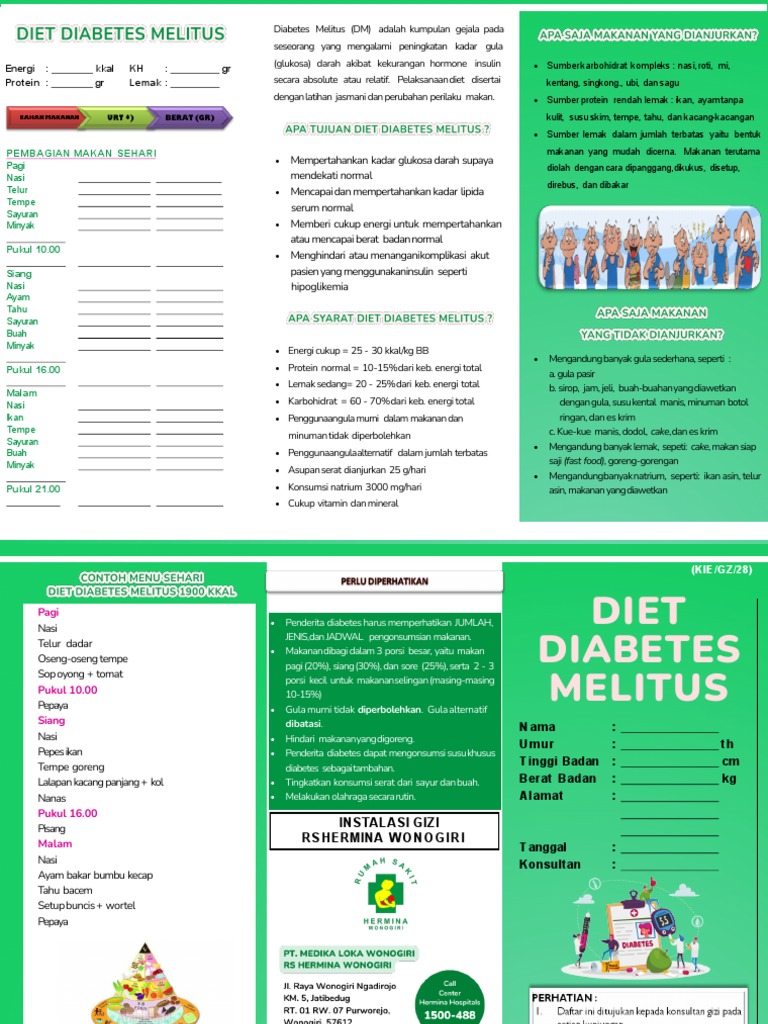 LEAFLET Diabetes Mellitus | PDF