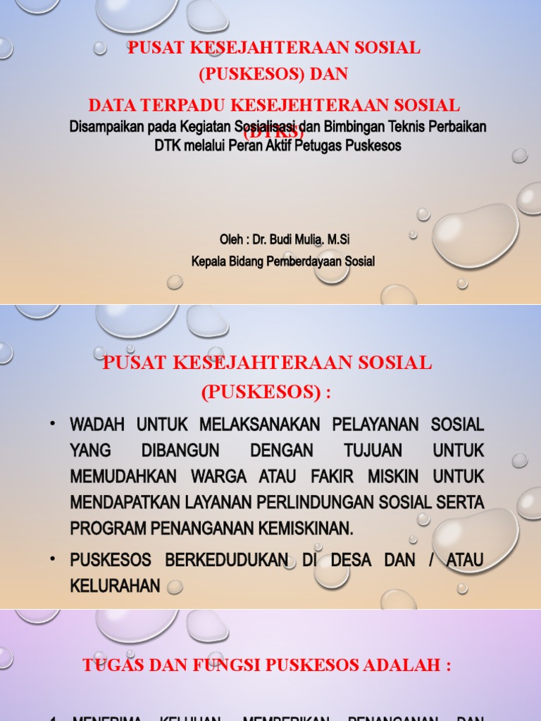 Sosialisasi Puskesos Dan Dtks | PDF