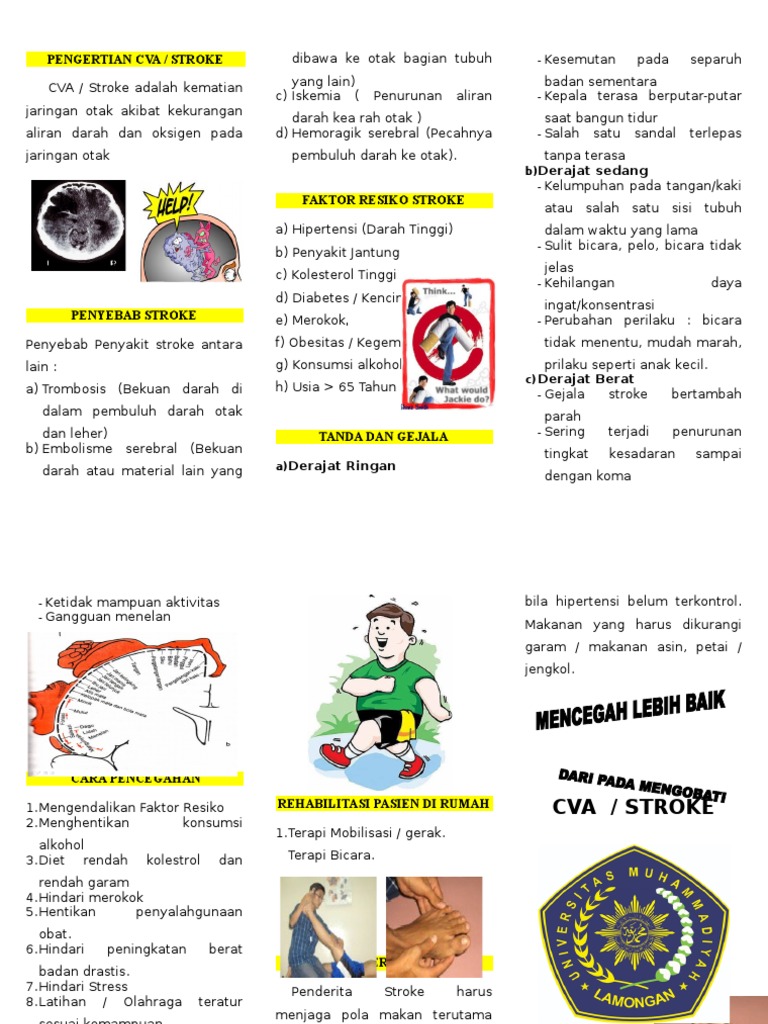 Toaz - Info Leaflet Cva Infark Stroke PR | PDF