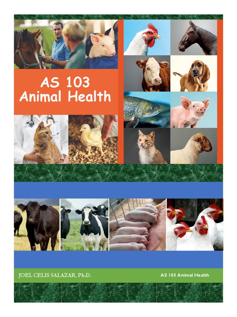 Understanding Animal Health and Disease: Defining Key Concepts of ...