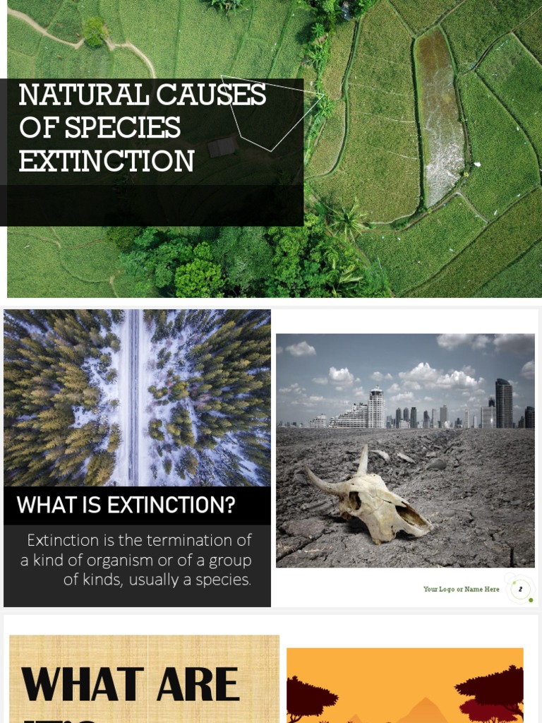 Natural Causes of Species Extinction | PDF | Extinction | Nature