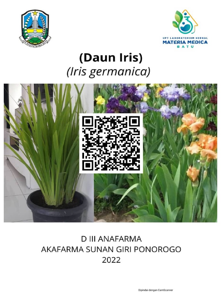 Daun Iris | PDF